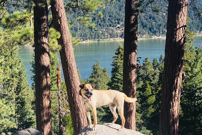 Guided Hiking Tour in Big Bear with Sunset Champagne toast on Private Dock