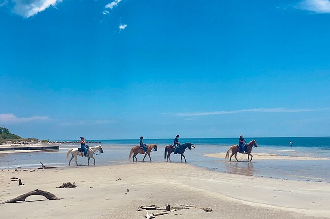 Guided Horseback Riding on The Pristine Waters of Miami Florida - Exploring Guided Horseback Riding on the Waters of Miami: An Authentic Beach Experience