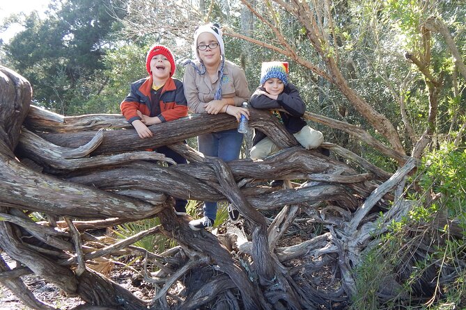 Guided Nature Hikes in NE Florida & SE Georgia - What Travelers Are Saying and Insights from Reviews