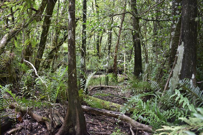 Guided Safari-Style Jeep Tour - FAQ