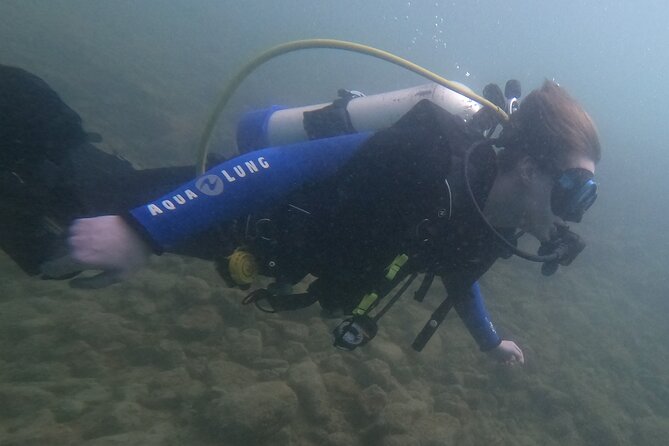 Guided SCUBA Shore dive for Certified Divers 2 states in one - Practical Considerations and Value