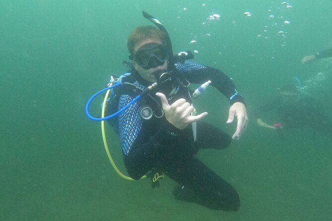 Guided SCUBA Shore dive for Certified Divers 2 states in one - The Sum Up