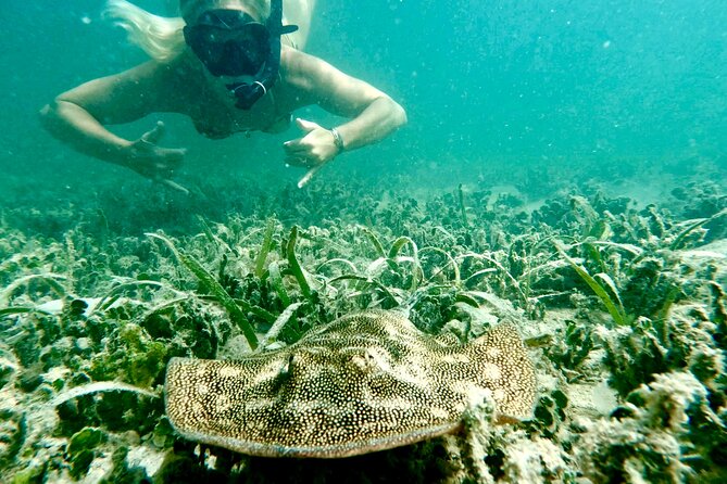 Guided Snorkel Experience, Free Videos in West Palm Beach - An In-Depth Look at the West Palm Beach Snorkeling Tour