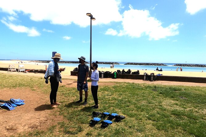 Guided Snorkel Tour for Beginners in Honolulu - Price and Value