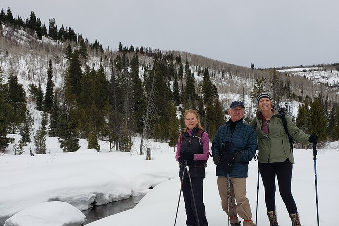 Guided Uinta Forest 3-Mile Hike w/fire + Lunch/charcuterie Stop - Key Points
