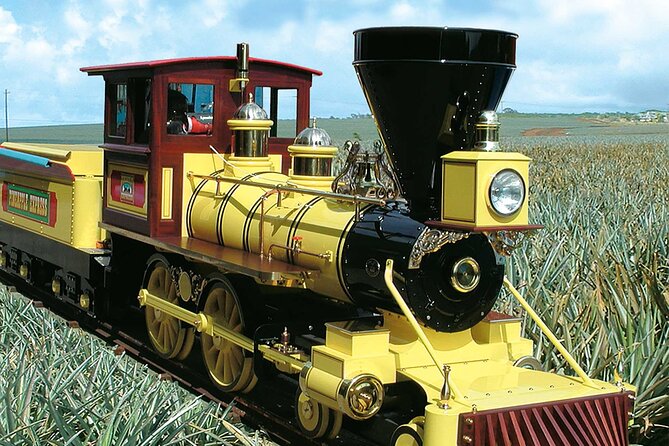 Haleiwa Express & Dole Plantation - Authentic Experiences & Local Insights