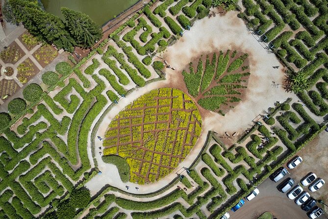 Haleiwa Express & Dole Plantation - Final Thoughts: Who Will Love This Tour?