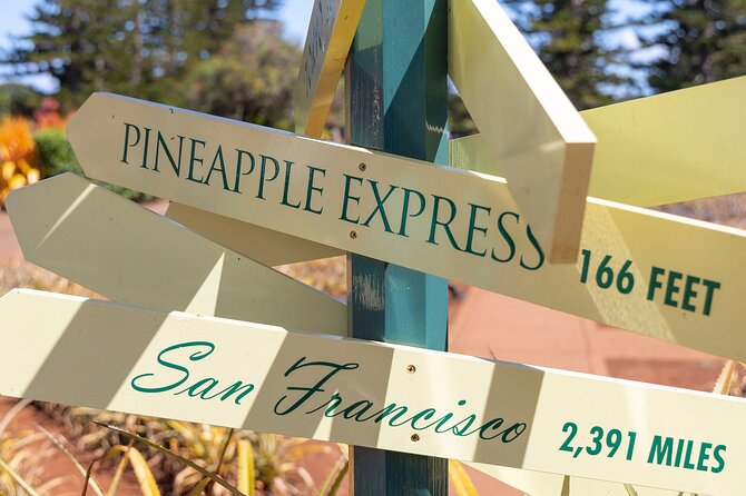 Haleiwa Express & Dole Plantation - Final The Sum Up