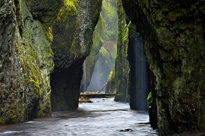 Half Day Columbia River Gorge Waterfalls Tour - The Itinerary Breakdown: What Youll See and Experience