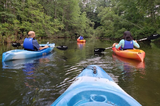 Half Day Kayak Rental on Sebago Lake - Key Points