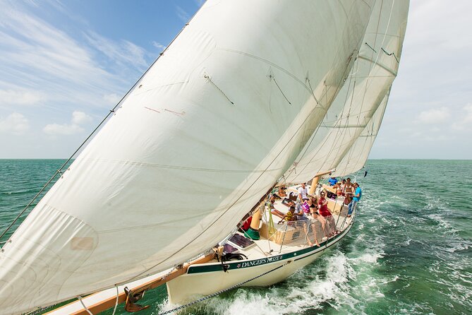 Half-Day Morning Trip from Key West with Kayaking and Snorkeling - The Sum Up