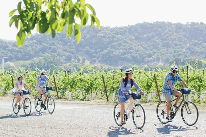 Half-Day Napa Valley E-Bike Tour - The Sum Up