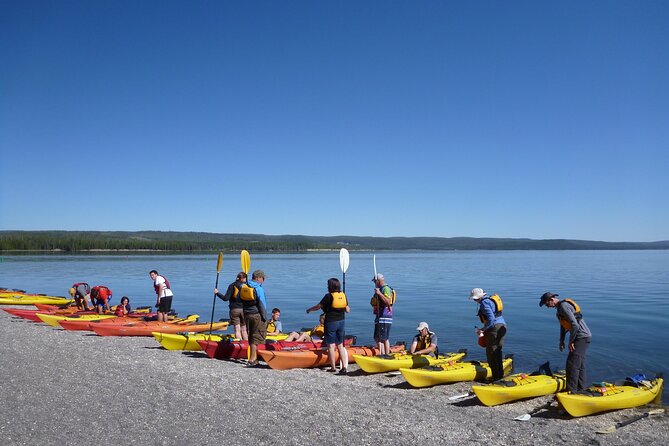 Half Day Paddle on Yellowstone Lake - What the Tour Looks Like: A Step-by-Step Breakdown