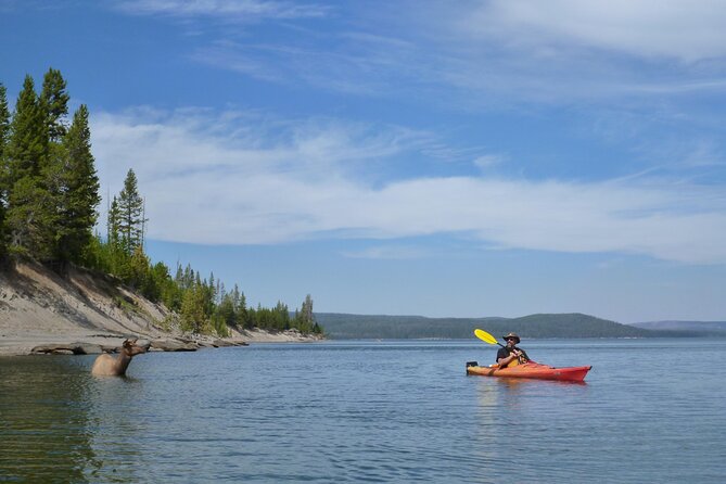 Half Day Paddle on Yellowstone Lake - Practical Details You Need to Know
