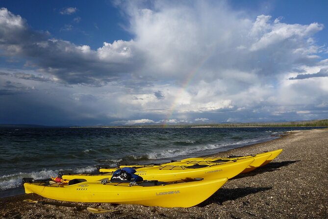 Half Day Paddle on Yellowstone Lake - Who Should Consider This Tour?
