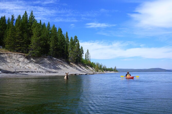 Half Day Paddle on Yellowstone Lake - Final Thoughts: Is It Worth It?