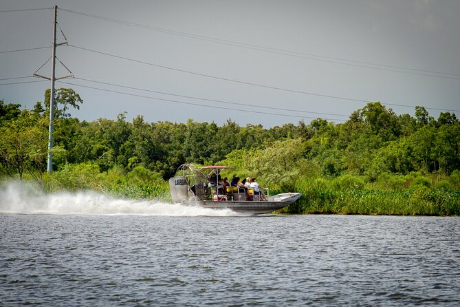 Half Day Private Swamp Experience in Louisiana - Exploring the Itinerary: What to Expect on the Day
