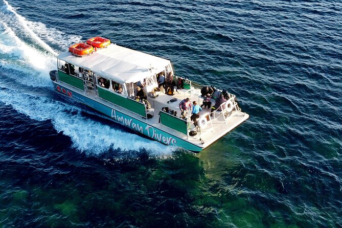 Half-Day Small-Group 2-Tank Scuba Dive in Key Largo (CERTIFIED DIVERS ONLY) - The Sum Up
