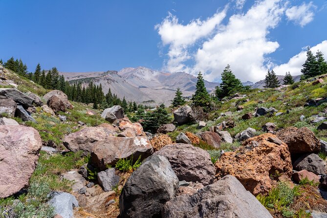 Half Day Tour to Faery Waterfalls, Castle Lake and Mount Shasta - Practical Insights