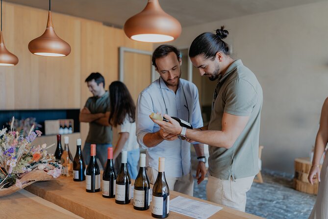 Half Day Wine Tour Around Evora - An Authentic Half-Day Wine Experience Near Évora