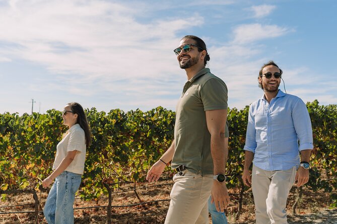 Half Day Wine Tour Around Evora - An In-Depth Look at the Experience