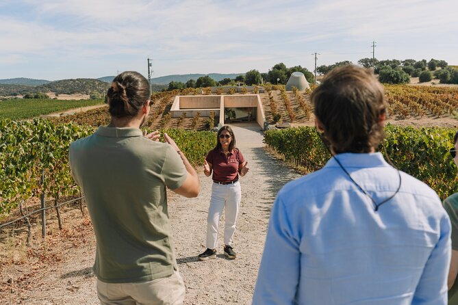 Half Day Wine Tour Around Evora - Why This Tour Offers Good Value