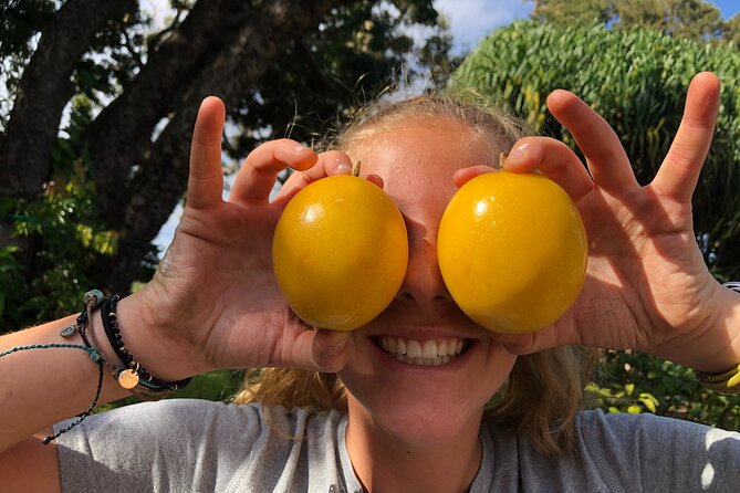 Hamakua Coast Farm Small-Group Walking and Tasting Tour - Discovering Nakihalani Farm: An Intimate Look into Hawaii’s Agriculture