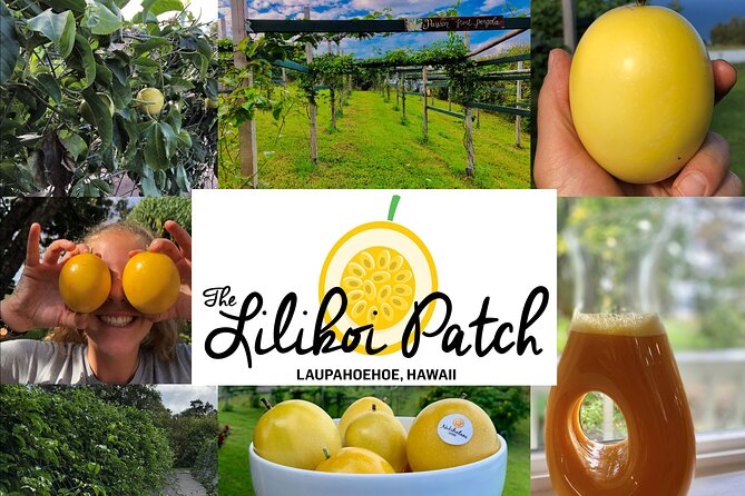 Hamakua Coast Farm Small-Group Walking and Tasting Tour - Authentic Experiences and Authentic Tastes: What Reviewers Say