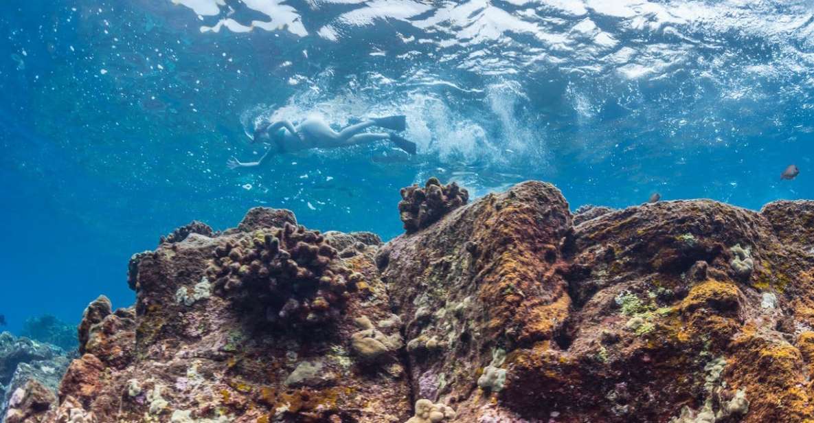 Hawaii: Pu'uhonua O Honaunau & Kealakekua Bay Snorkel Tour - Key Points