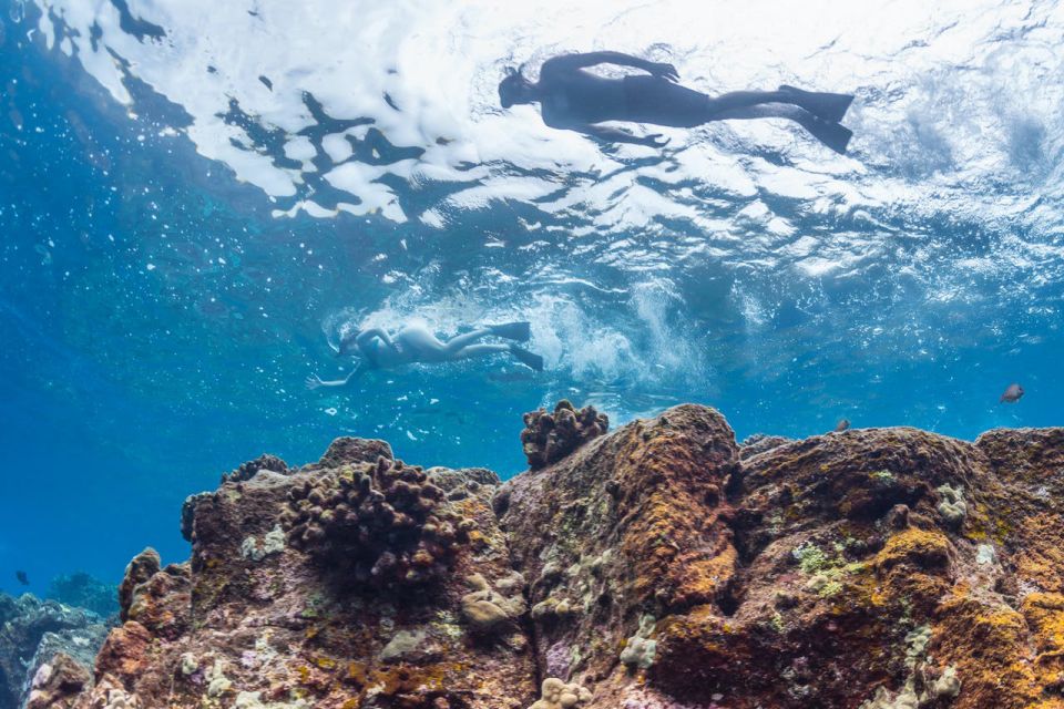 Hawaii: Pu'uhonua O Honaunau & Kealakekua Bay Snorkel Tour - An In-Depth Look at the Tour Experience