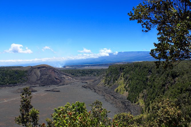 Hawaii Volcanoes National Park and Hilo Highlights Small Group Tour - What Reviewers Say About This Tour
