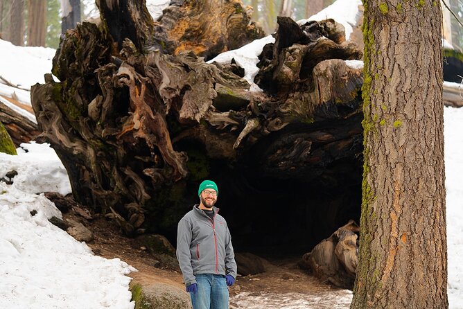 Heart of the Giant Forest Hike
