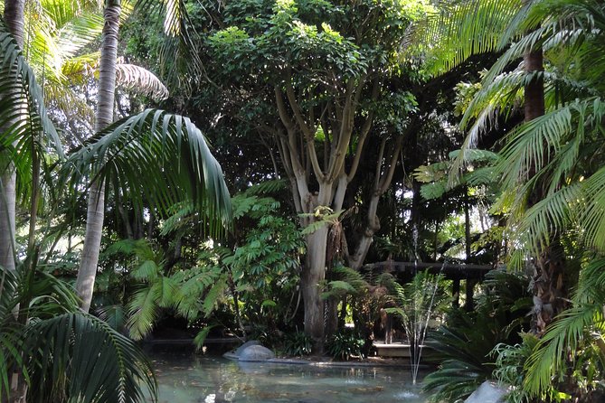 Hidden Nature Walks in the City Private Tour - Exploring San Diego’s Hidden Natural Gems