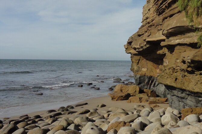 Hidden Nature Walks in the City Private Tour - Is This Tour Worth the Price?