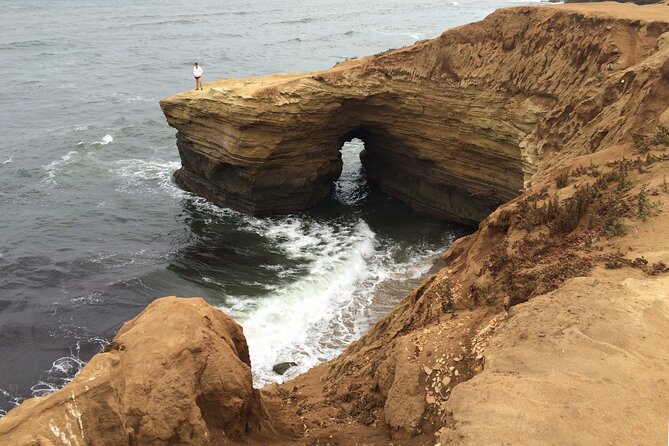 Hidden Nature Walks in the City Private Tour - The Sum Up