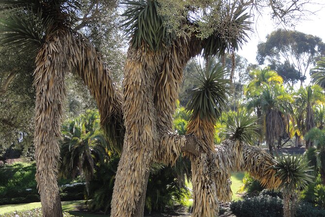 Hidden Nature Walks in the City Private Tour - Frequently Asked Questions