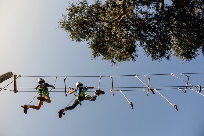 High Ropes Adventure Course near Santa Barbara - An In-Depth Look at the High Ropes Adventure Course