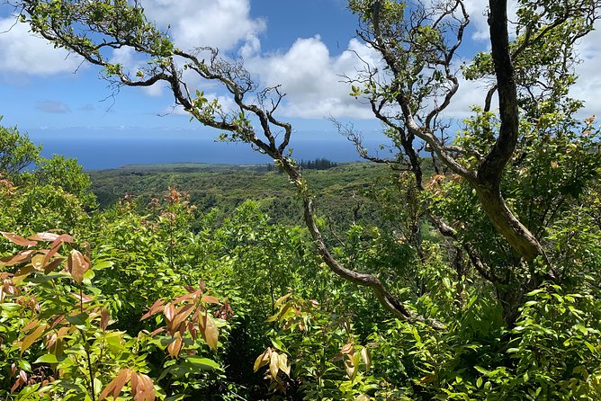 Hike Honolua Ridgeline