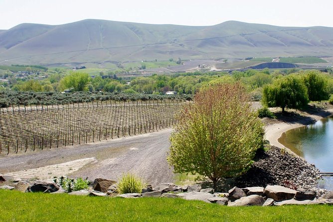 Hike Mt. Rainier & Taste Yakima Valley Wine: All-Inclusive Day Tour from Seattle