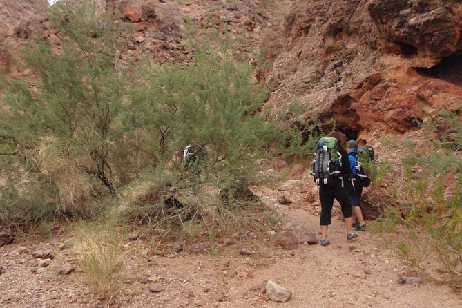 Hiking Adventure in White Rock Canyon and Desert Hot Springs - Detailed Review of the Hiking Adventure Experience