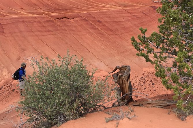 Hiking in Kanab: Famous Teepees of Vermilion Cliffs National Monument near Wave - Who Will Love This Tour?