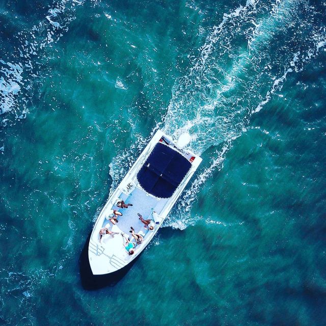 Hilton Head Island: Dolphin Cruise & Nature Tour - The Scenic Highlights