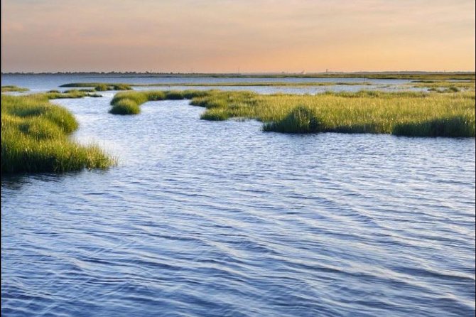 Hilton Head Island Dolphin Watching Nature Cruise