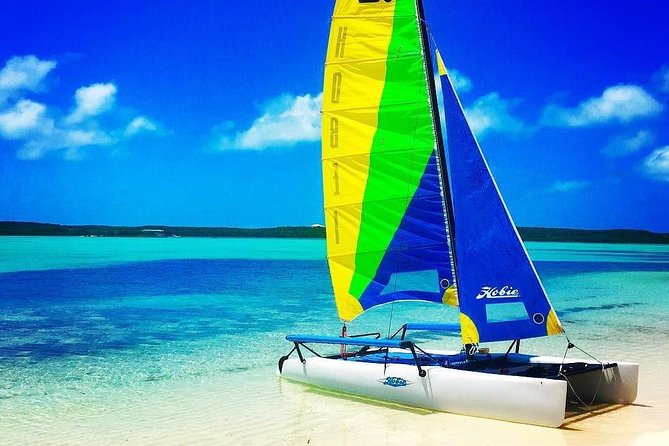 Hobie Cat Sailing with Miami Watersports - Who Should Book This Experience?