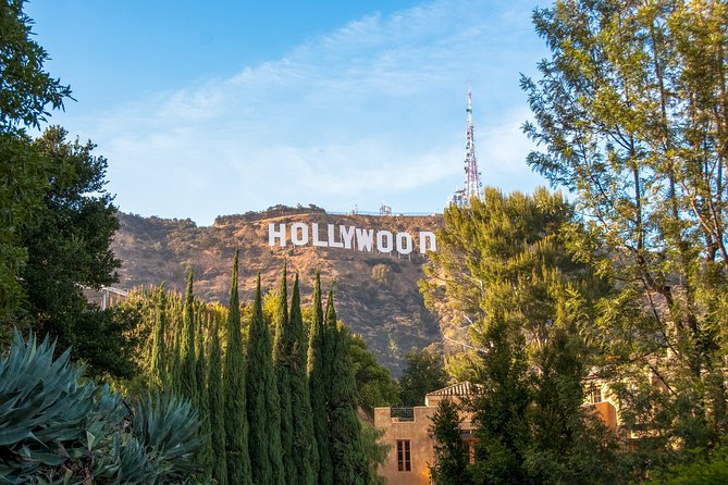 Hollywood and Beverly Hills Tour - The Experience: What You Can Expect