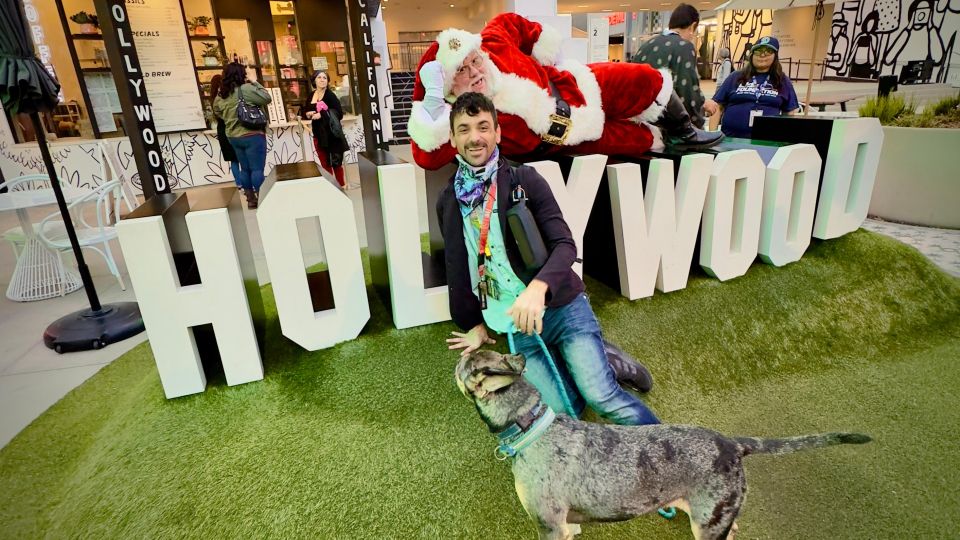 Hollywood Walking & Hiking Sunset Tour with LA Skyline Views - Authentic Insights from Past Participants