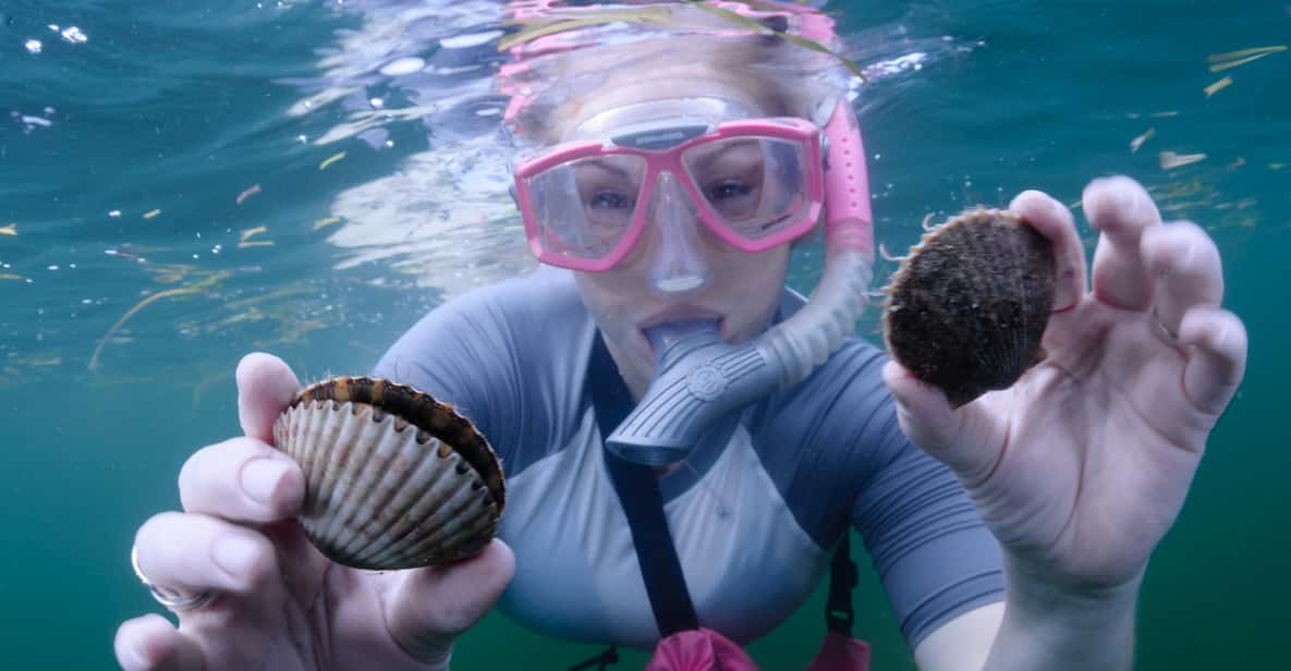 Homosassa: Snorkel & Scallop Hunt in Gulf of Mexico - What to Expect from the Homosassa Snorkel & Scallop Hunt