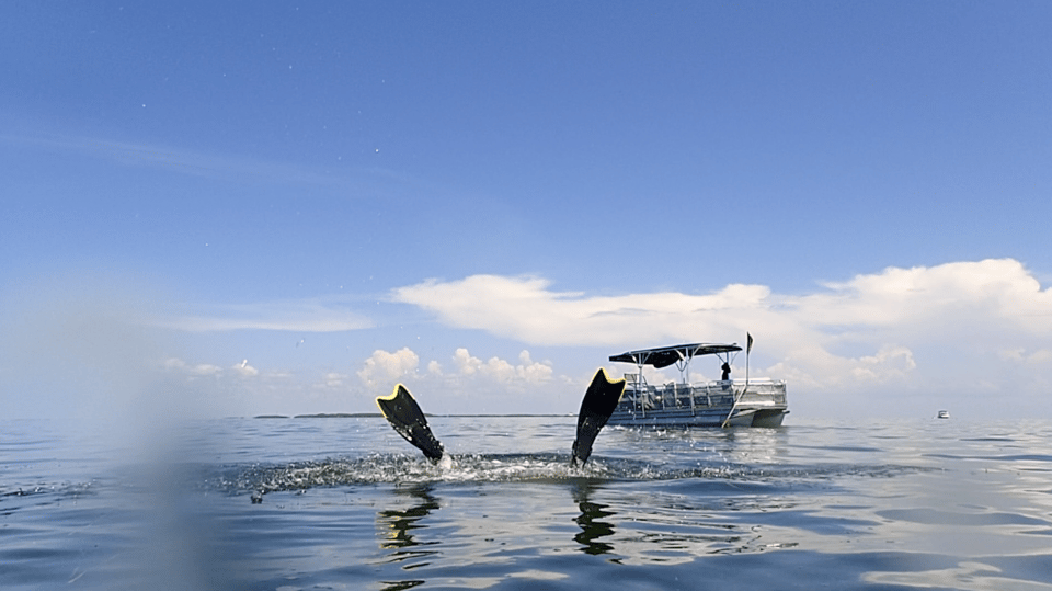 Homosassa: Snorkel & Scallop Hunt in Gulf of Mexico - Analyzing the Value
