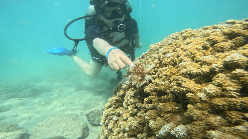Honolulu: Beginner Scuba Diving Tour With Free Videos - Why Choose This Tour?  