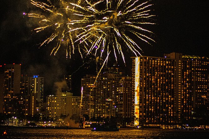 Honolulu BYOB Fireworks Boat Cruise - The Views and Marine Life